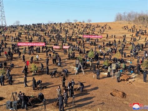 衛星写真から見える北朝鮮の植樹事業、「国家の大計」のはずが…飢餓や経済難で乱伐も：朝日新聞globe＋