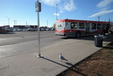 바람구두를 신은 긴수염 Raysoda