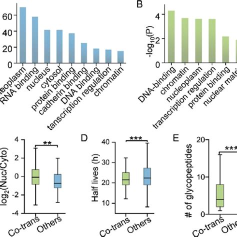 A Example Tandem Mass Spectrum Of An Identified Co Translational Download Scientific Diagram