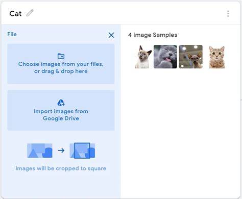 How To Train A Computer To Classify Distinct Images Using A Convolutional Neural Network