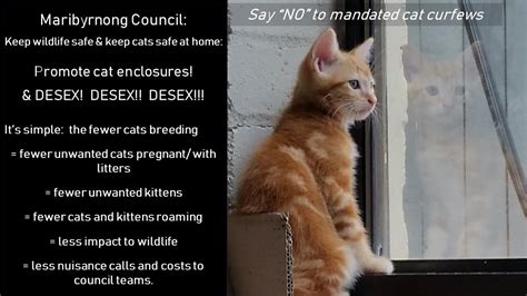 Petition · Maribyrnong Promote Cat Enclosures And Desex Desex Desex