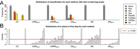 Results From Testing On Calcium Data Where The Cell Activity And Download Scientific Diagram