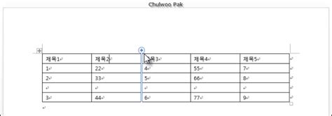 can computer and network tips [word 2013 preview] 표에서 행과 열 간단하게 추가하기