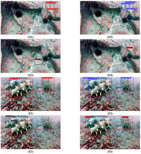 Applied Sciences Free Full Text Underwater Sea Cucumber Identification Based On Improved Yolov5