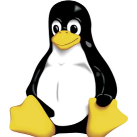 Shane Thomas Youtube