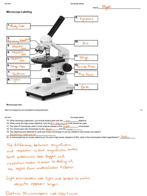 Microscope Labeling Pdf Laboratory Equipment Laboratory Techniques