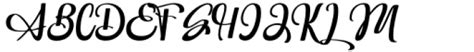 Hildor Script Font Script Decorative What Font Is