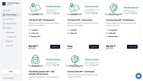 API Portals A Developer S Essential Guide To Seamless Integration ThatAPICompany