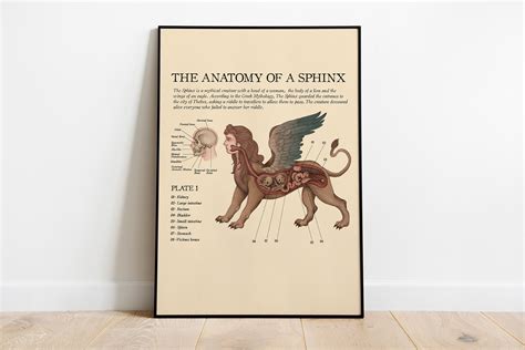 The Anatomy Of A Sphinx Behance