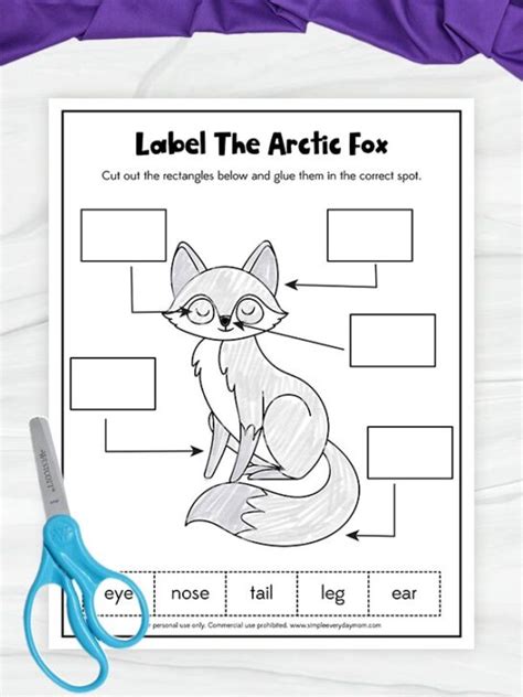 Free Printable Arctic Fox Worksheets For Kindergarten