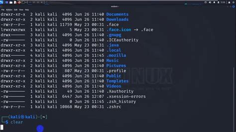 5 المسارات Paths كورس Kali Linux Youtube