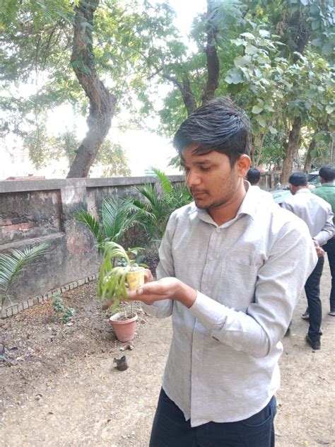 Saurabh Shukla On Linkedin वृक्ष धरा के भूषण है करते दूर प्रदूषण हैं