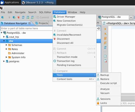 No More Access To The Sessions And Locks Functions On My PostgreSQL Database Issue