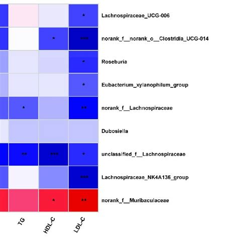 Spearmans Correlation Analysis Between Serum Tc Tg Hdl C Ldl C And