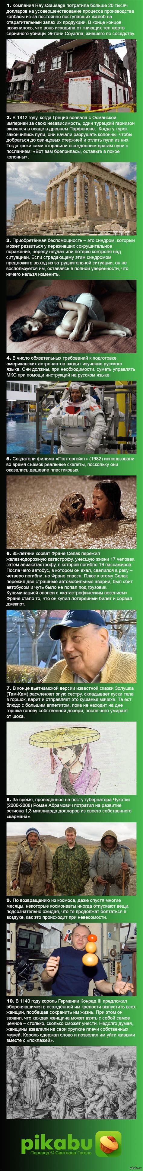 10 интересных фактов Пикабу