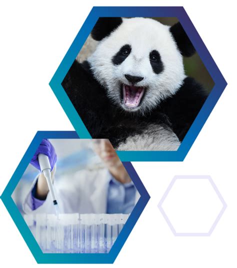Arbor Assays Reliable Research Assay Testing Kits
