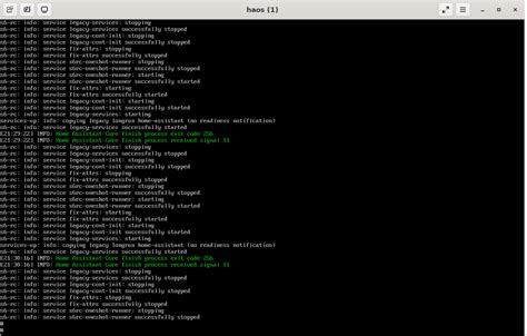 Haos Vm Internal Docker Containers Not Starting After Reboot Home Assistant Os Home