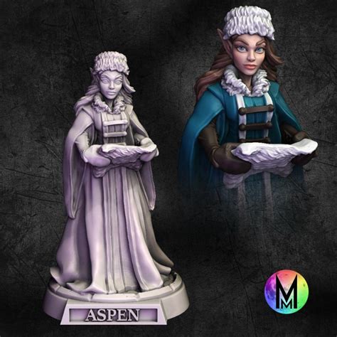 Female Elf Wizard Aspen The Female Wizard Female Frost Elf Wizard With Scroll 3d Model By