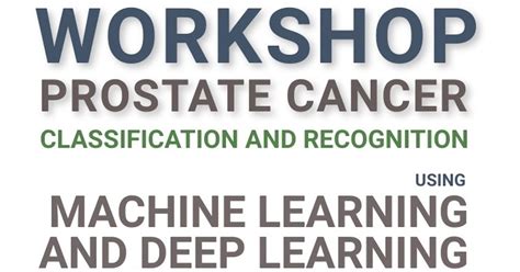 Software Developer And Writer The Applied Data Science Workshop