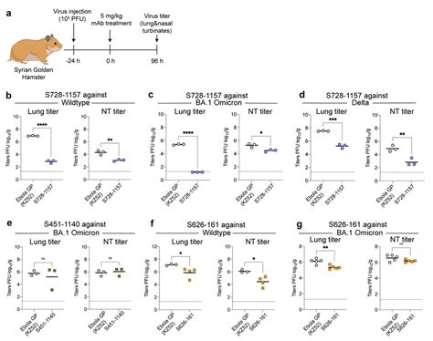 Protective Efficacy Of Broadly Neutralizing Antibodies Against Download Scientific Diagram