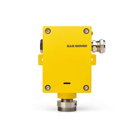 Gas Leak Detector At Best Price In New Delhi By Kimpex Flow Private