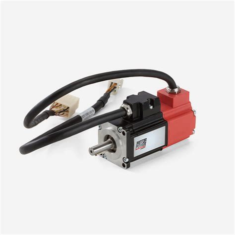 Tetra Compact Low Voltage Bldc Motor Motor Power Company