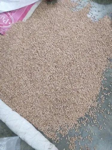 Red Rajma Dal At ₹ 100 Kg Pulses In New Delhi Id 2852879082391