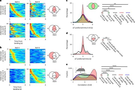 Two Distinct Populations Of Hippocampal Time Cells Contextual Time