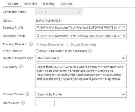 Article Getting Started With The Sap Hana Database Connector Part 4