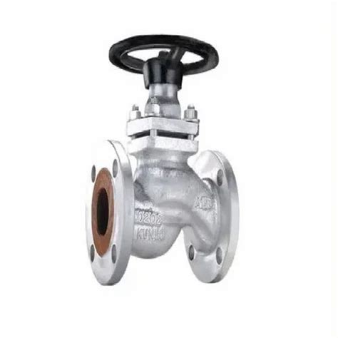 Piston Valve Piston Valve Flanged End Manufacturer From Ahmedabad