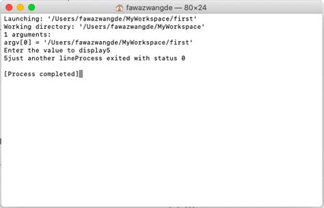 Not Able To Give Input To The Program · Issue 5799 · Microsoftvscode Cpptools · Github