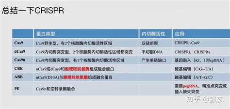 实验技术｜pbe 一站式解决碱基精确编辑问题 知乎