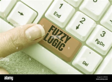 conceptual display fuzzy logic concept meaning checks for extent of