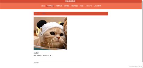 【计算机毕业设计】138宠物领养系统的设计与实现sql的宠物系统的好处 Csdn博客