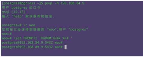 《课程笔记 Postgresql深入浅出》之psql管理工具 高级命令（四） 墨天轮