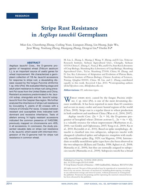 Pdf Stripe Rust Resistance In Aegilops Tauschii Germplasm