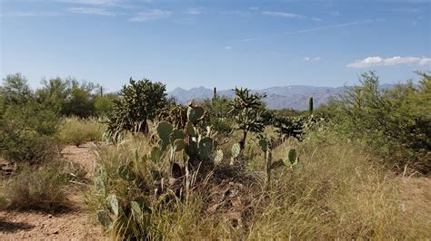 First Class Charter Llc Home Facebook