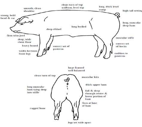 Module 2 Flashcards Quizlet Module 2 Flashcards Quizlet
