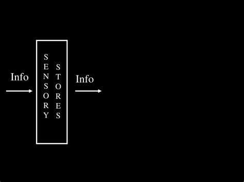 Ppt Sensory Memory Iconic Memory Echoic Memory Powerpoint