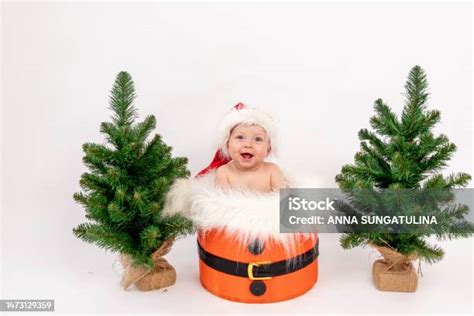 크리스마스 사진 흰색 고립 된 배경에 크리스마스 트리 근처 바구니에 산타 모자에 앉아 작은 어린 소녀 행복 한 새해 2021 텍스트 공간 12월에 대한 스톡 사진 및 기타