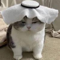 师资介绍 SiKi学院 SiKi学堂 unity u d 虚幻 ue java python 人工智能 视频教程 在线课程