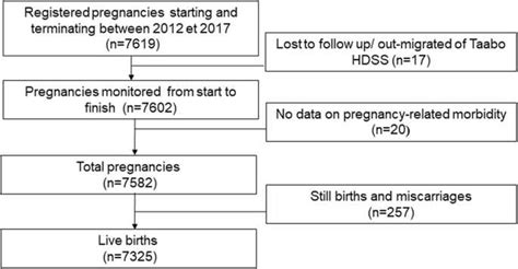 Sample Selection Bias Specification Error Understanding Impact Solutions
