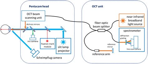 Combined Rotating Ultra High Resolution Spectral Domain Oct And Scheimpflug Imaging For In Vivo