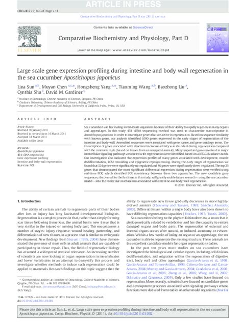 Large Scale Gene Expression Profiling During Intestine And Body Wall