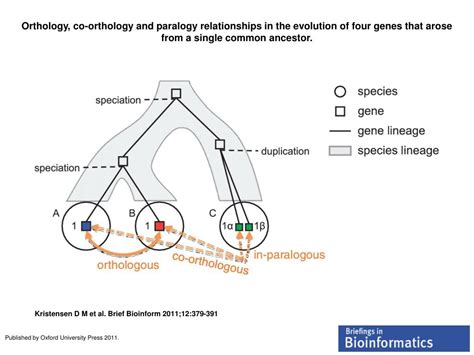 PPT Functional Genomics PowerPoint Presentation Free Download ID 5068477