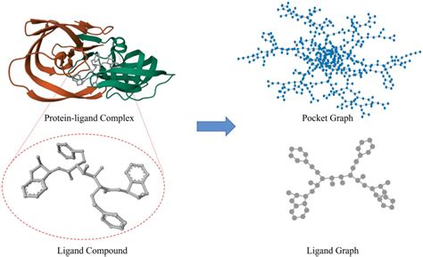 Improving Structure Based Protein Ligand Affinity Prediction By Graph