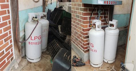 단양군 가정용 Lpg용기 고무호스→금속관 교체사업 추진