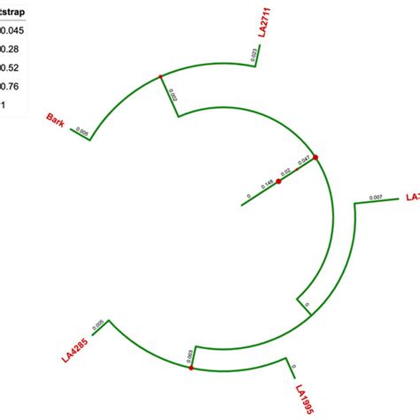 Cluster Analysis Based On Jaccards Similarity Coefficient Of The