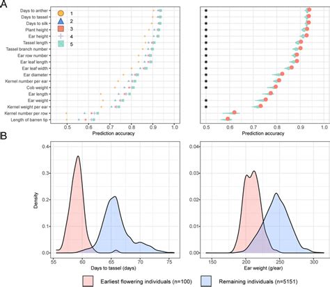 Genomic Prediction Of Agronomic Traits In A Maize Ncii Population A