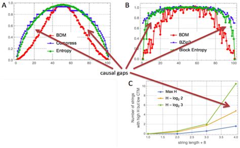 a review of methods for estimating algorithmic complexity options